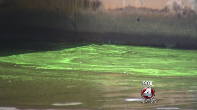 Toxicity testing on green algae underway - Fox 4 Now WFTX Fort Myers ...