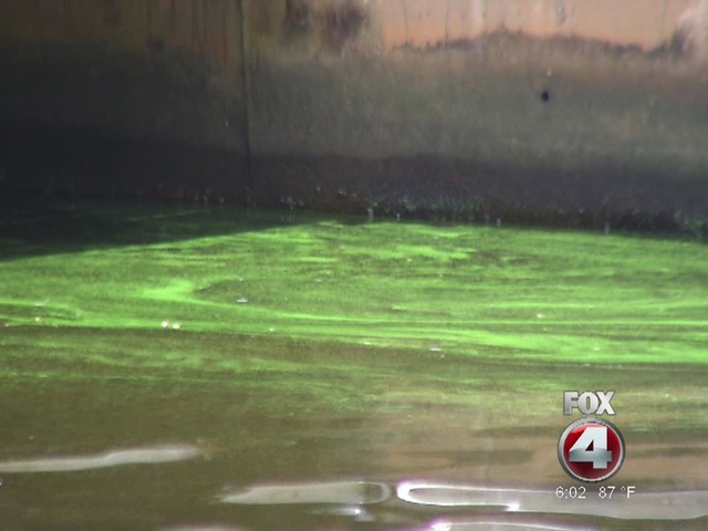 Marco Rubio addresses water issues in SWFL