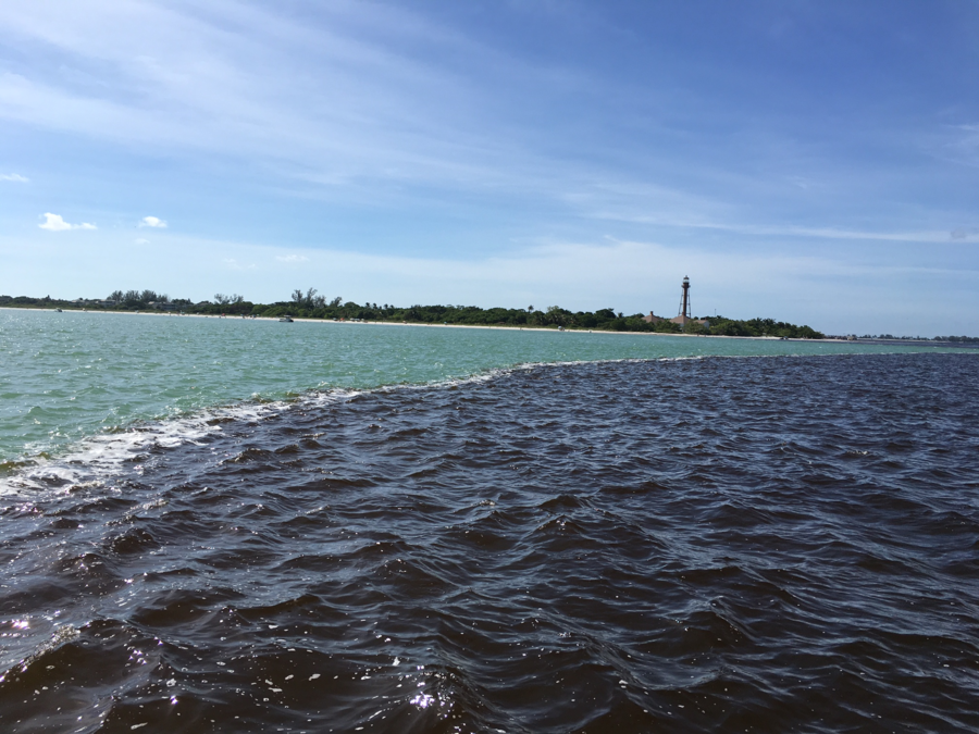 Red Tide Clearly Visible on This Drone Video From Sanibel Island : r ...
