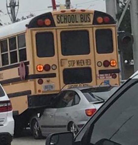 Car crashes into school bus on Colonial Boulevard - Fox 4 Now WFTX Fort ...