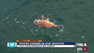 Warning for seafood lovers: Beware of toxic fish - Fox 4 Now WFTX Fort ...