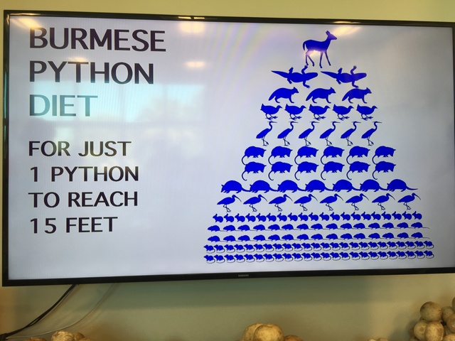 PHOTOS : Conservancy of Southwest Florida necropsy demonstration of a ...