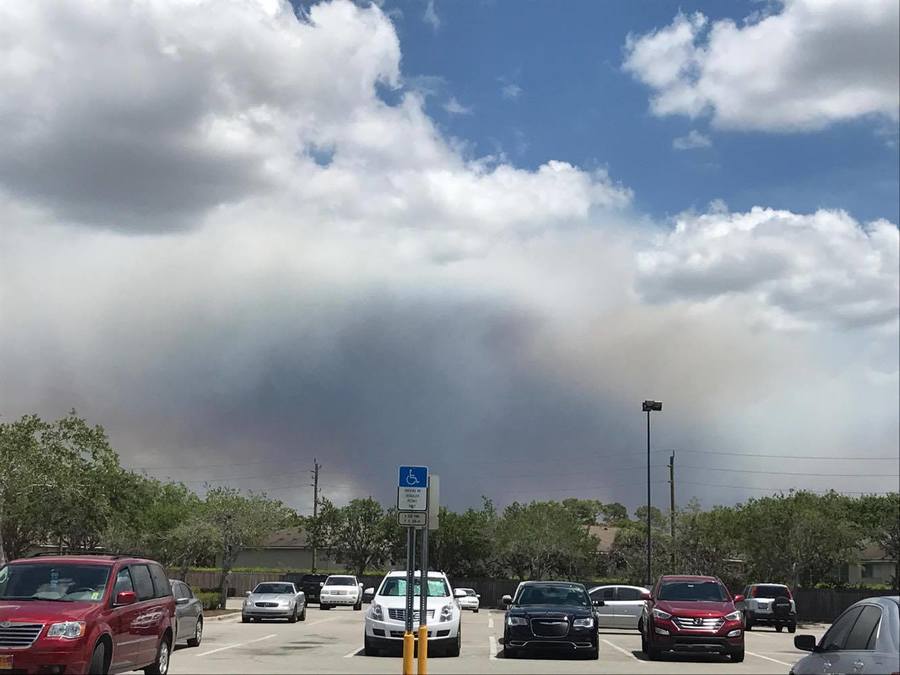 Fires burning in Collier County Photos - Gallery