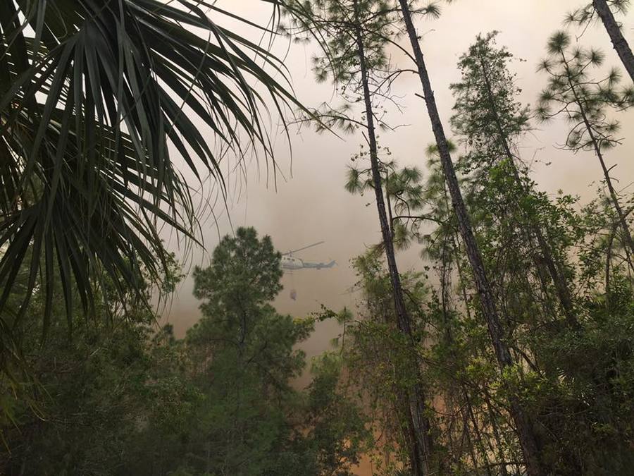 Fires burning in Collier County Photos - Gallery