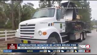Naples fires, Collier County Fires