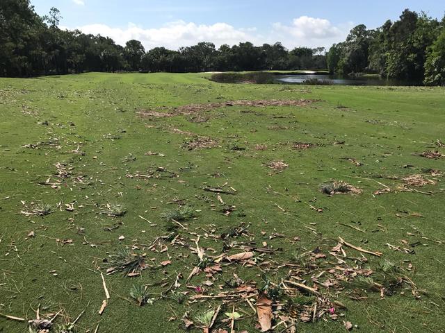 Storm damage closes Forest Country Club golf courses through June 9 ...