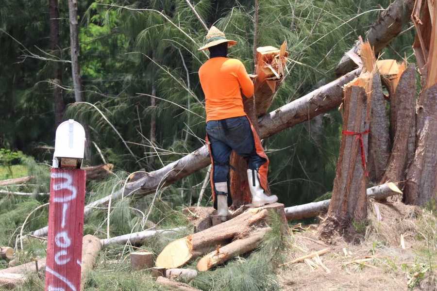 Crews are clearing sludge on Dunbar toxic sludge site - Fox 4 Now WFTX ...