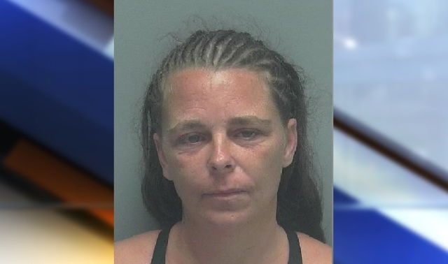 Two arrested in Fort Myers after fleeing troopers on Interstate-75 ...