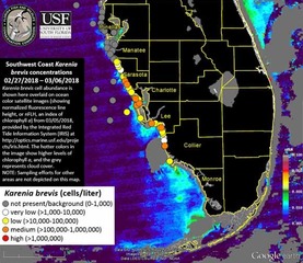 Blooms of red tide observed across Southwest Florida - Fox 4 Now WFTX ...