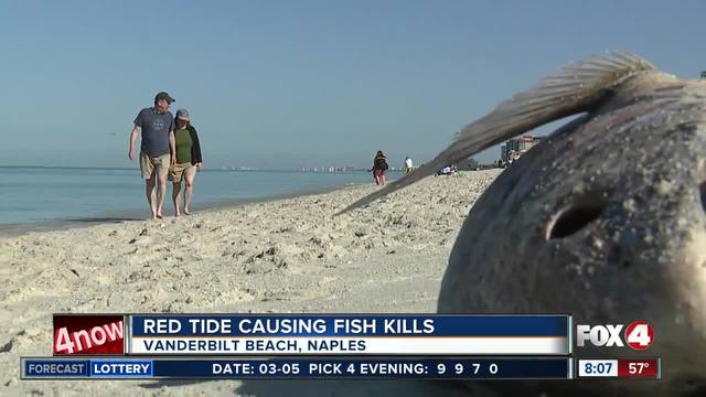Naples residents say red tide is the worst they've seen in recent years ...