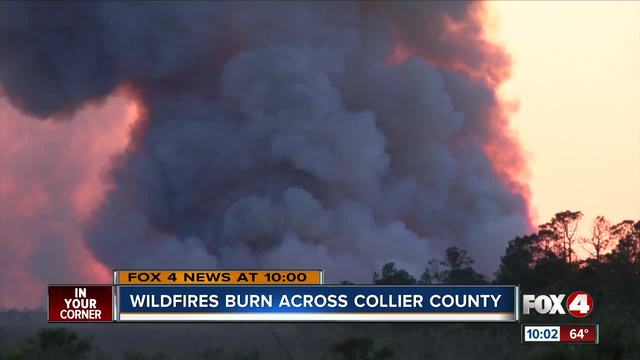 Southwest Florida Fire, Naples fires, Collier County Fires