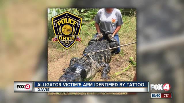 Florida authorities find remains of woman killed by alligator - Fox 4 ...