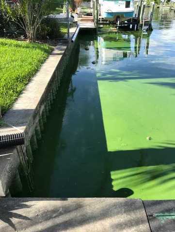 Photos of Southwest Florida water issues, fish kills, beach hazards ...