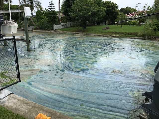 Photos of Southwest Florida water issues, fish kills, beach hazards ...