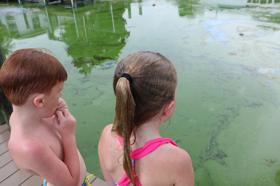 Photos of Southwest Florida water issues, fish kills, beach hazards ...