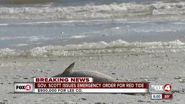 Governor Scott declares state of emergency due to red tide in Florida ...
