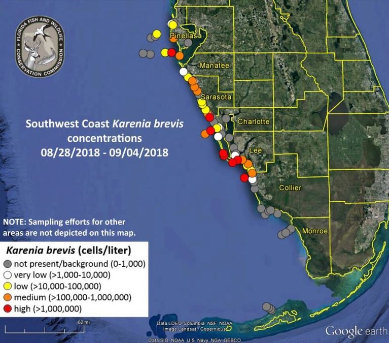 FWC releases red tide map through September 4th - Fox 4 Now WFTX Fort ...